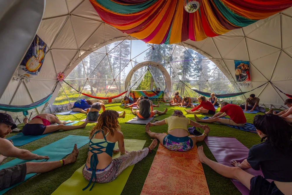 Paradise Music Festival