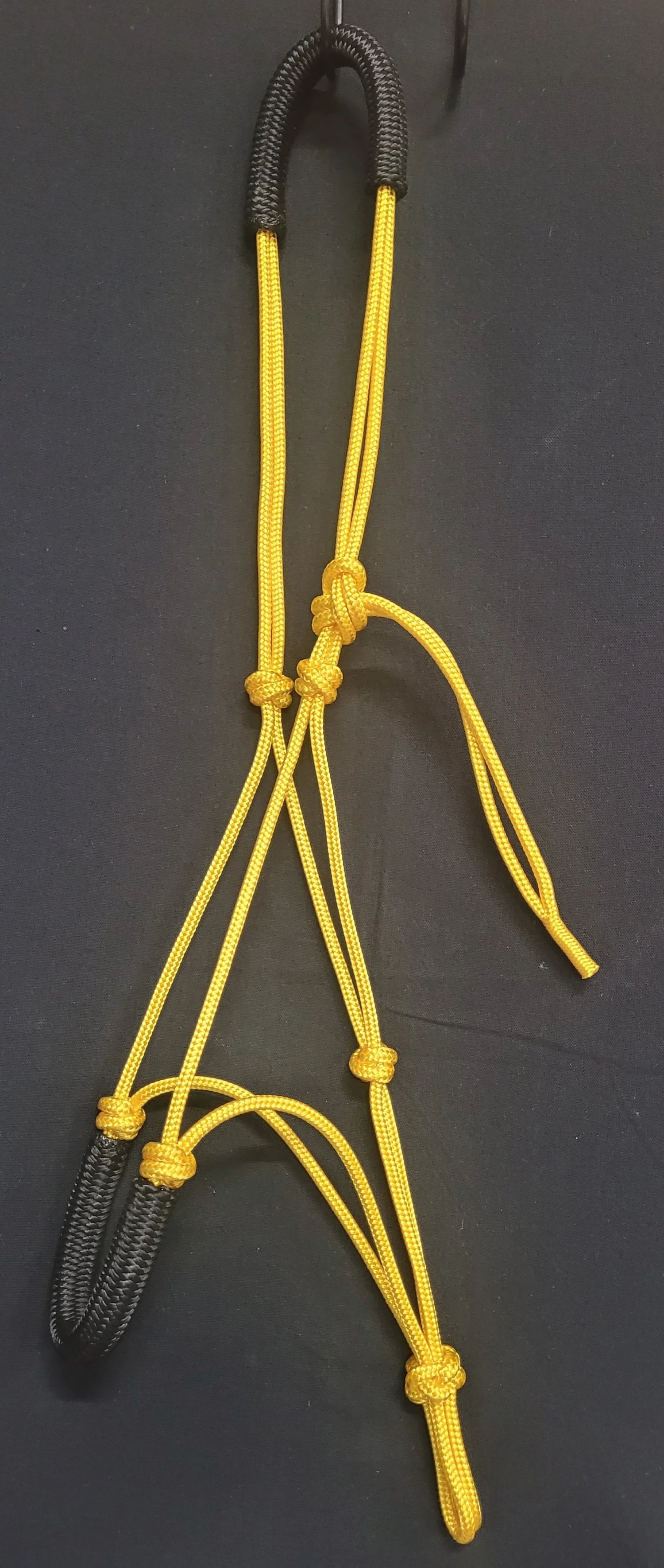 Halters — InSync Halters