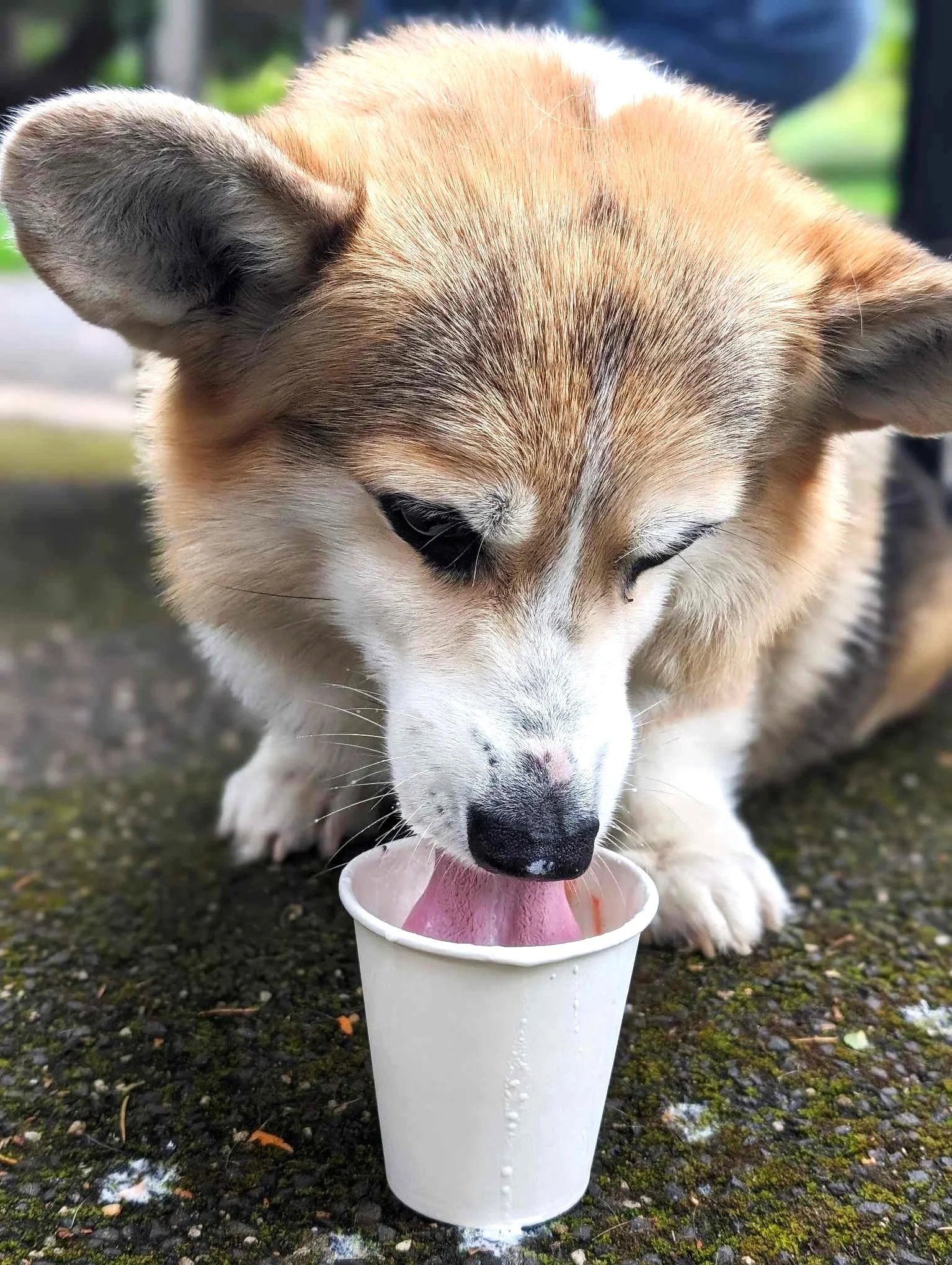 WYM; it's Where You Meet