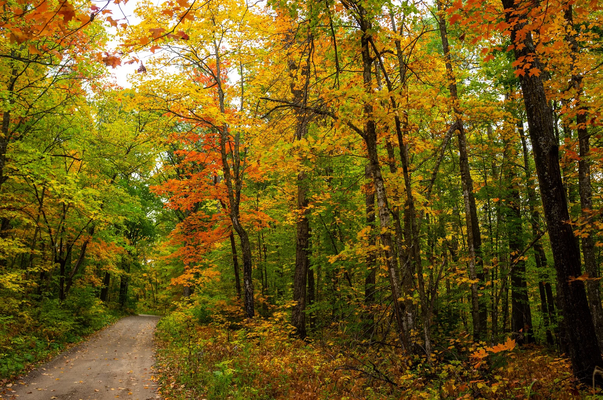 Agendas & Minutes — Mahnomen, Minnesota