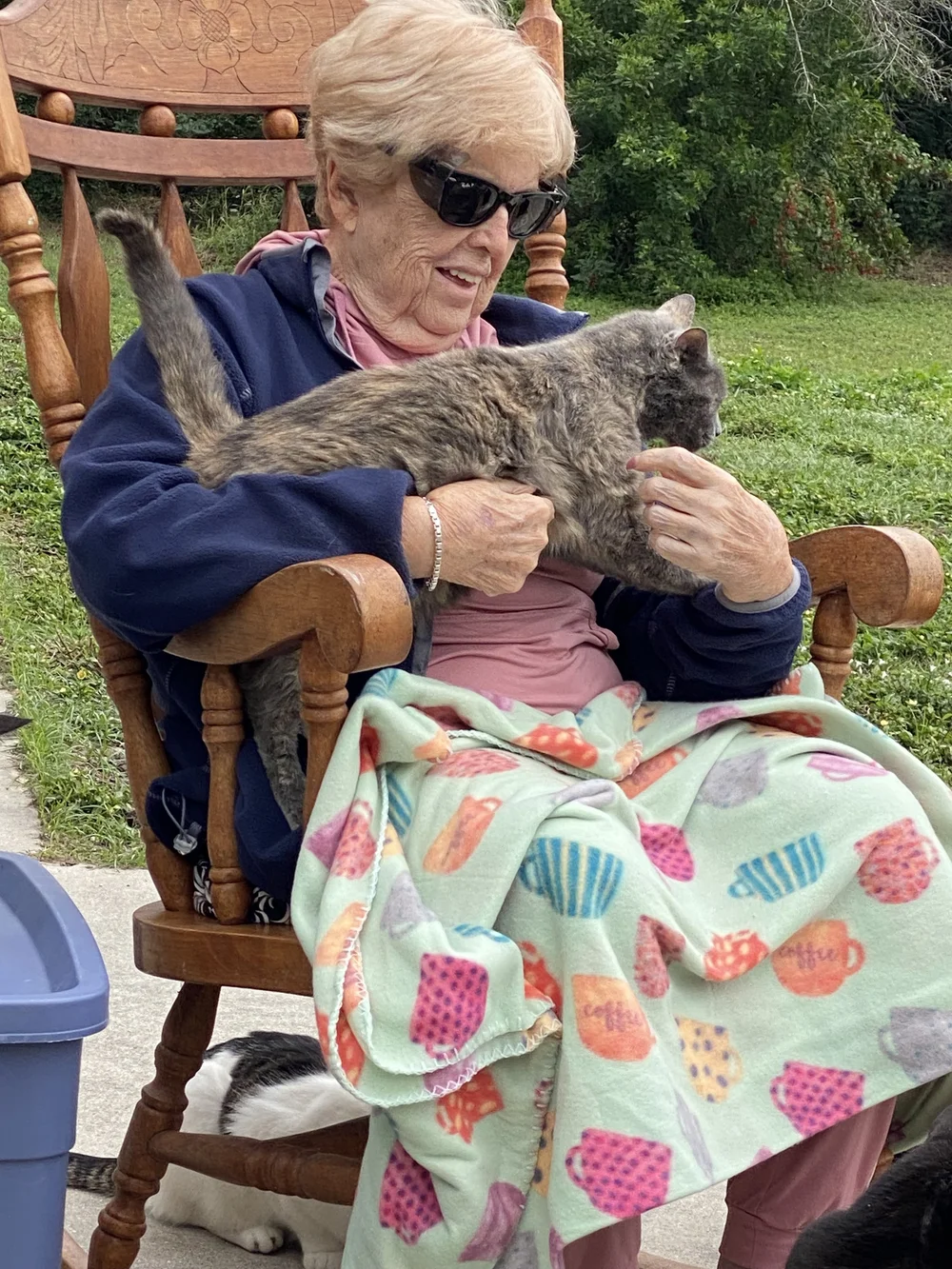 About 5 — The Cat Ranch