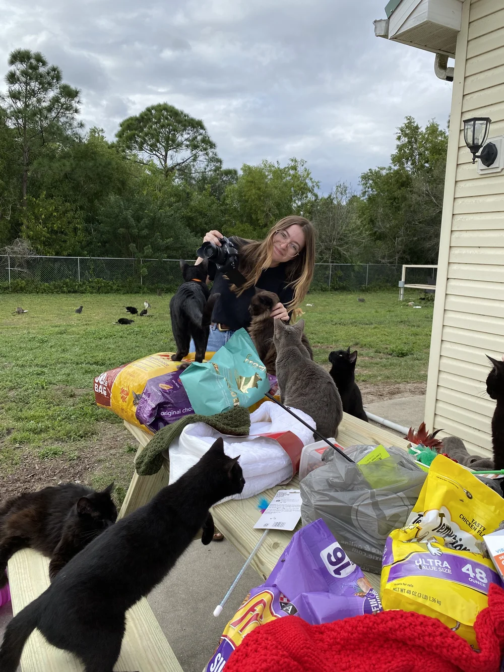 Team 1 — The Cat Ranch