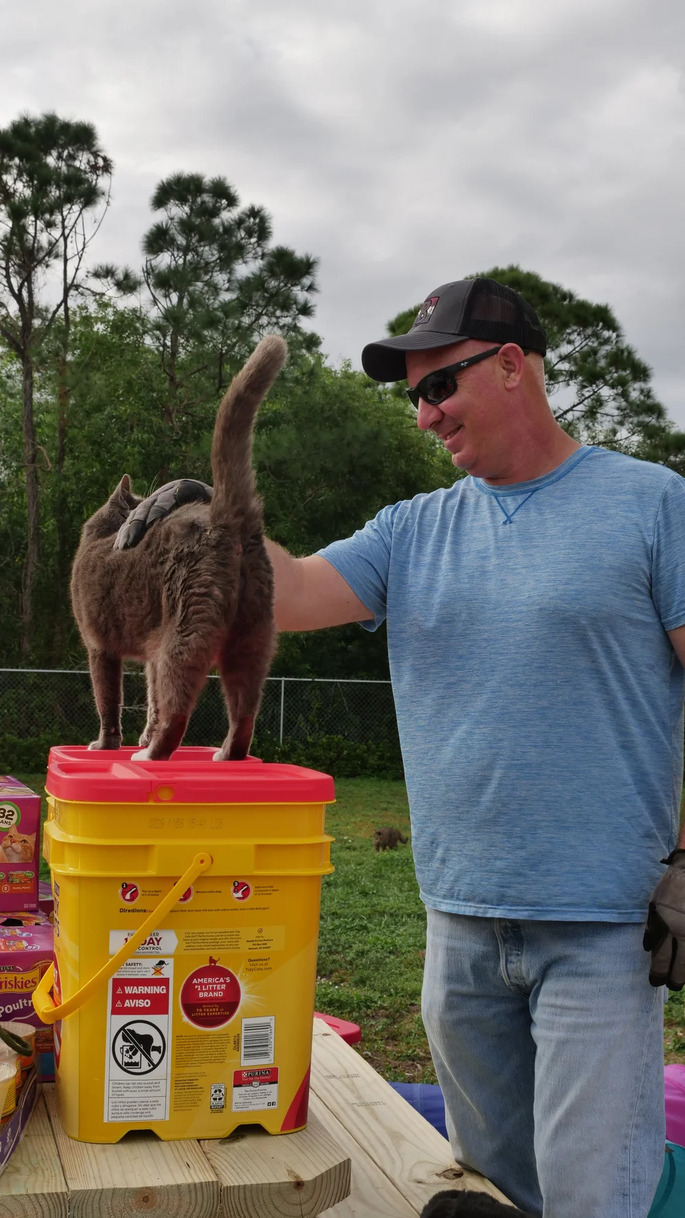 Donate — The Cat Ranch