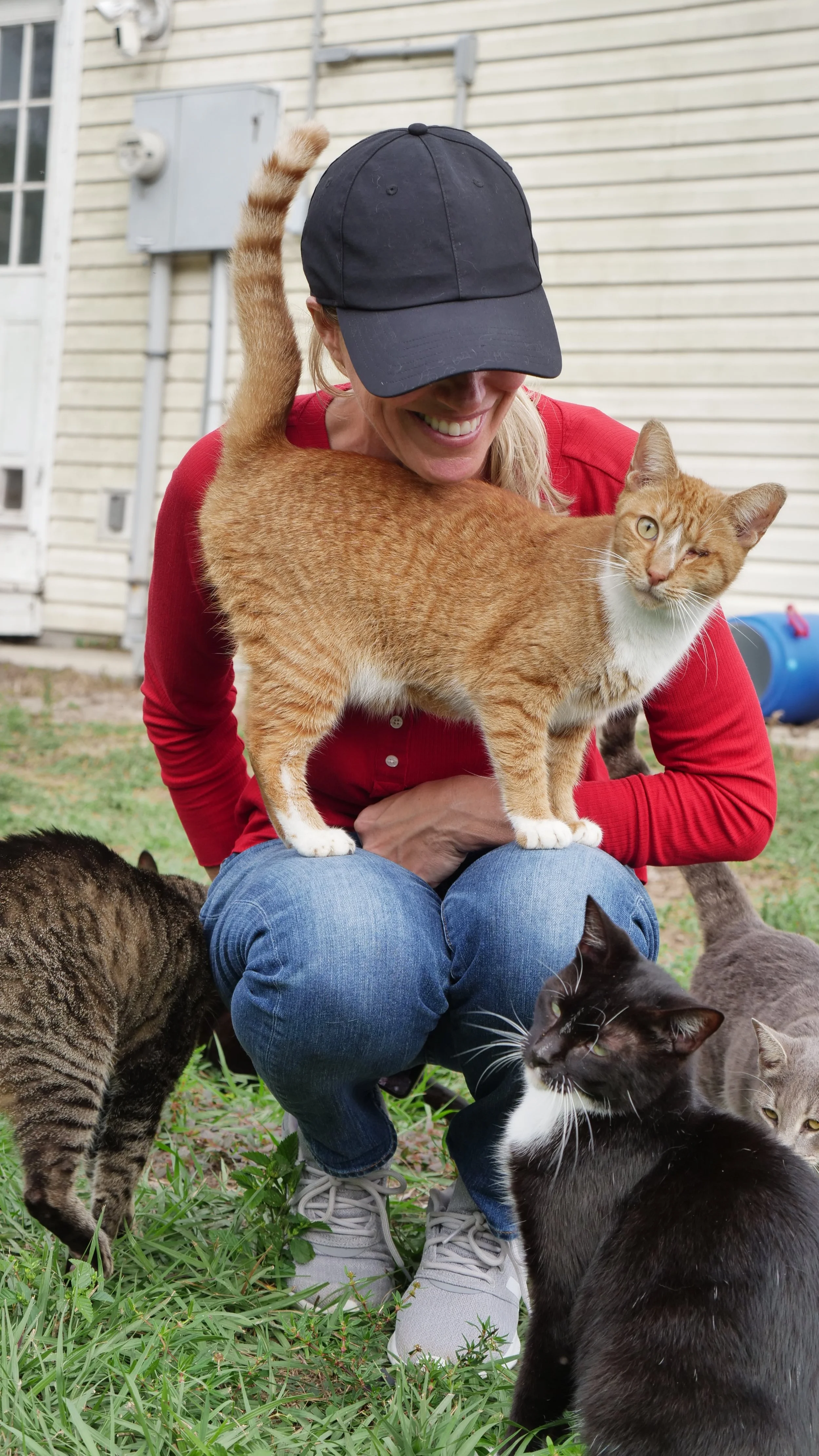 Team 1 — The Cat Ranch