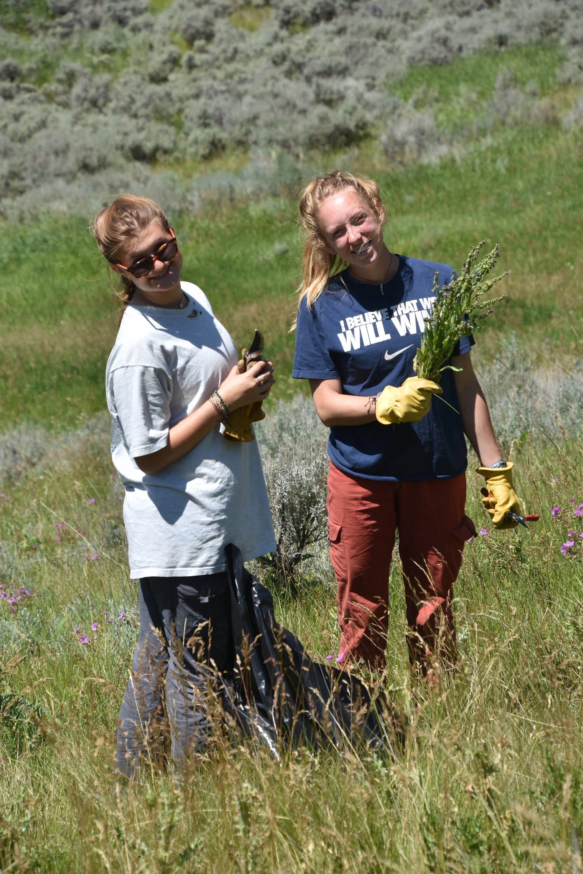 Stewardship Projects (Copy) — Absaroka-Beartooth Wilderness Foundation