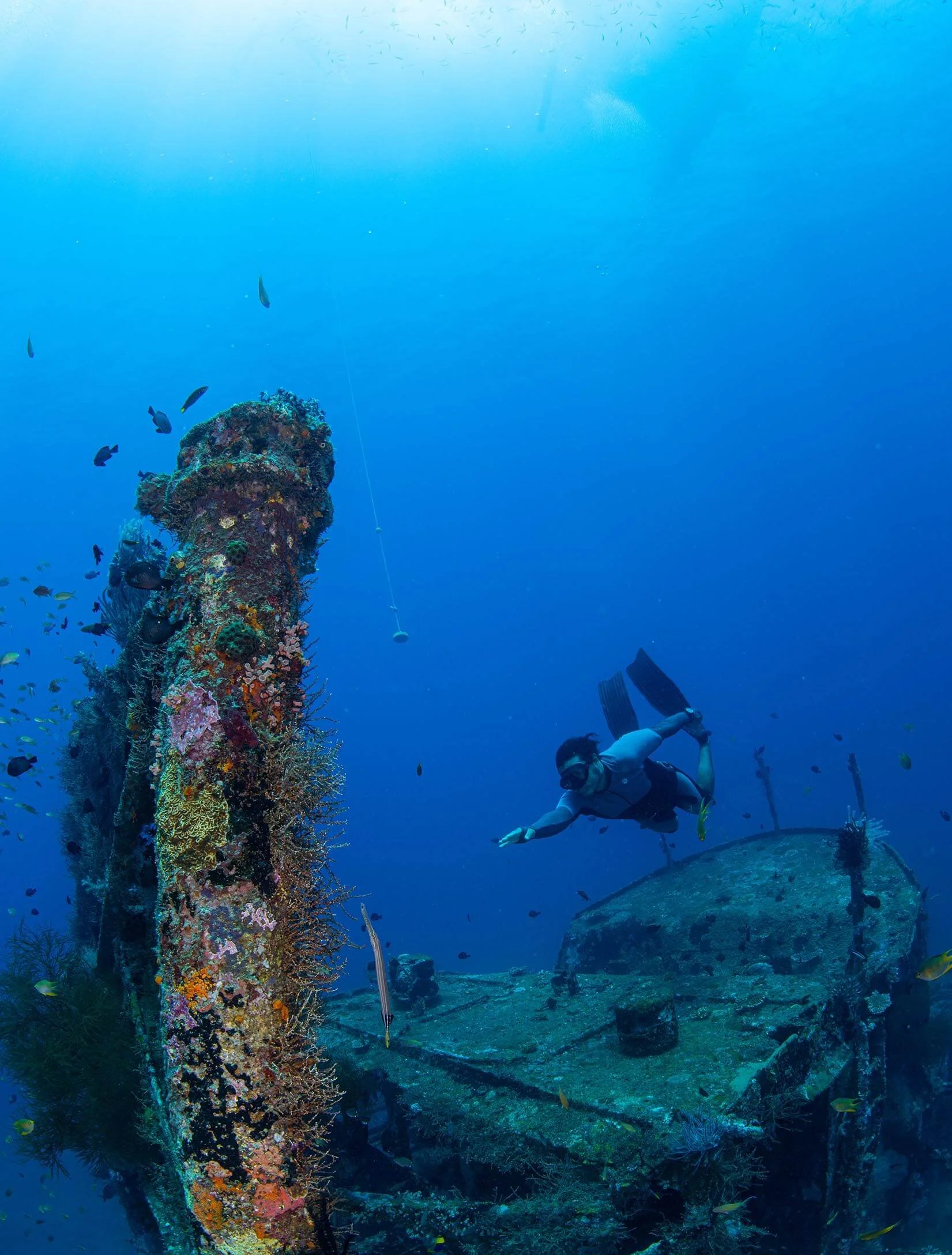 Scuba and Freedive Fundives | DIVE Boracay