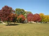 About 5 — Horner Park Advisory Council