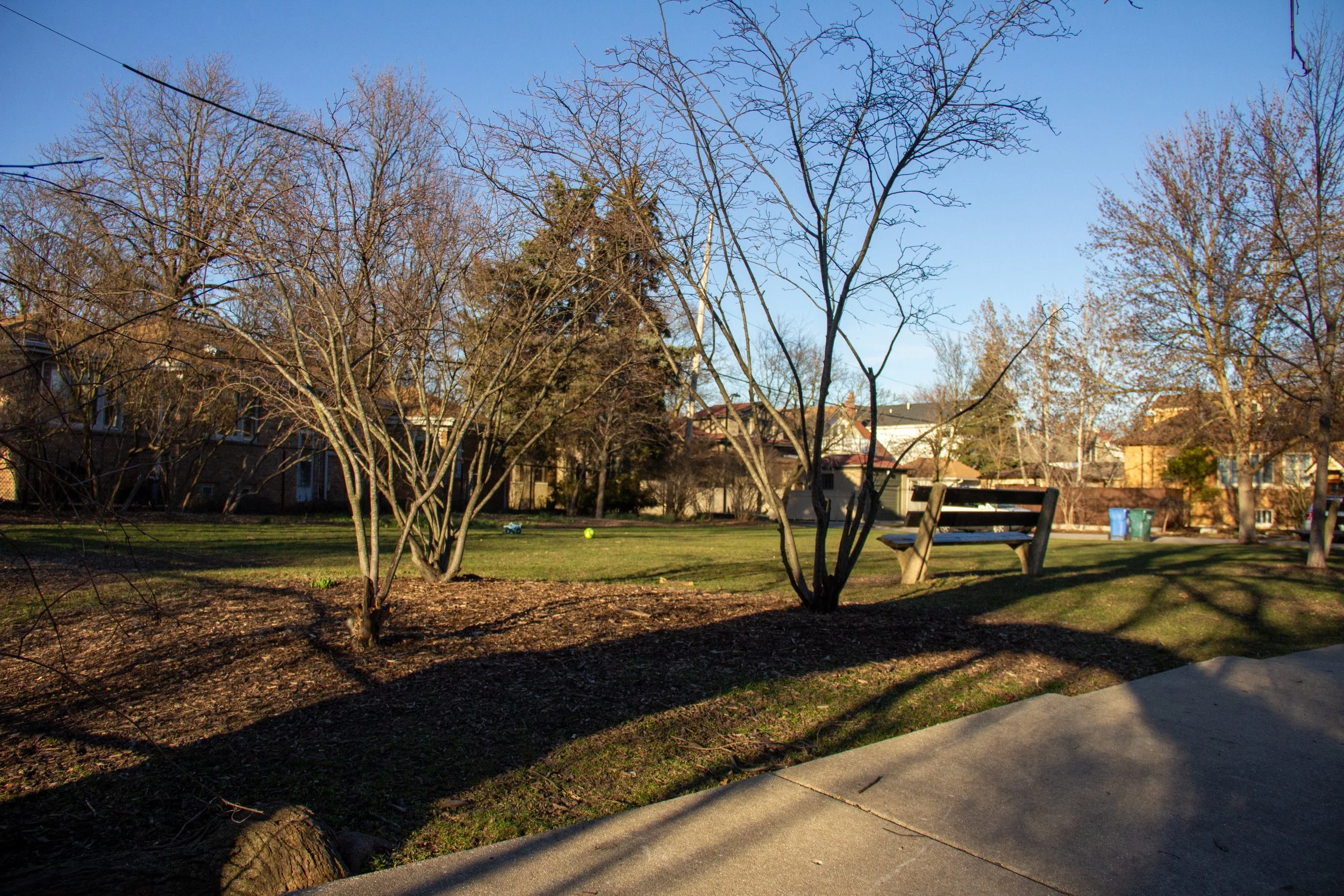 About 5 — Horner Park Advisory Council