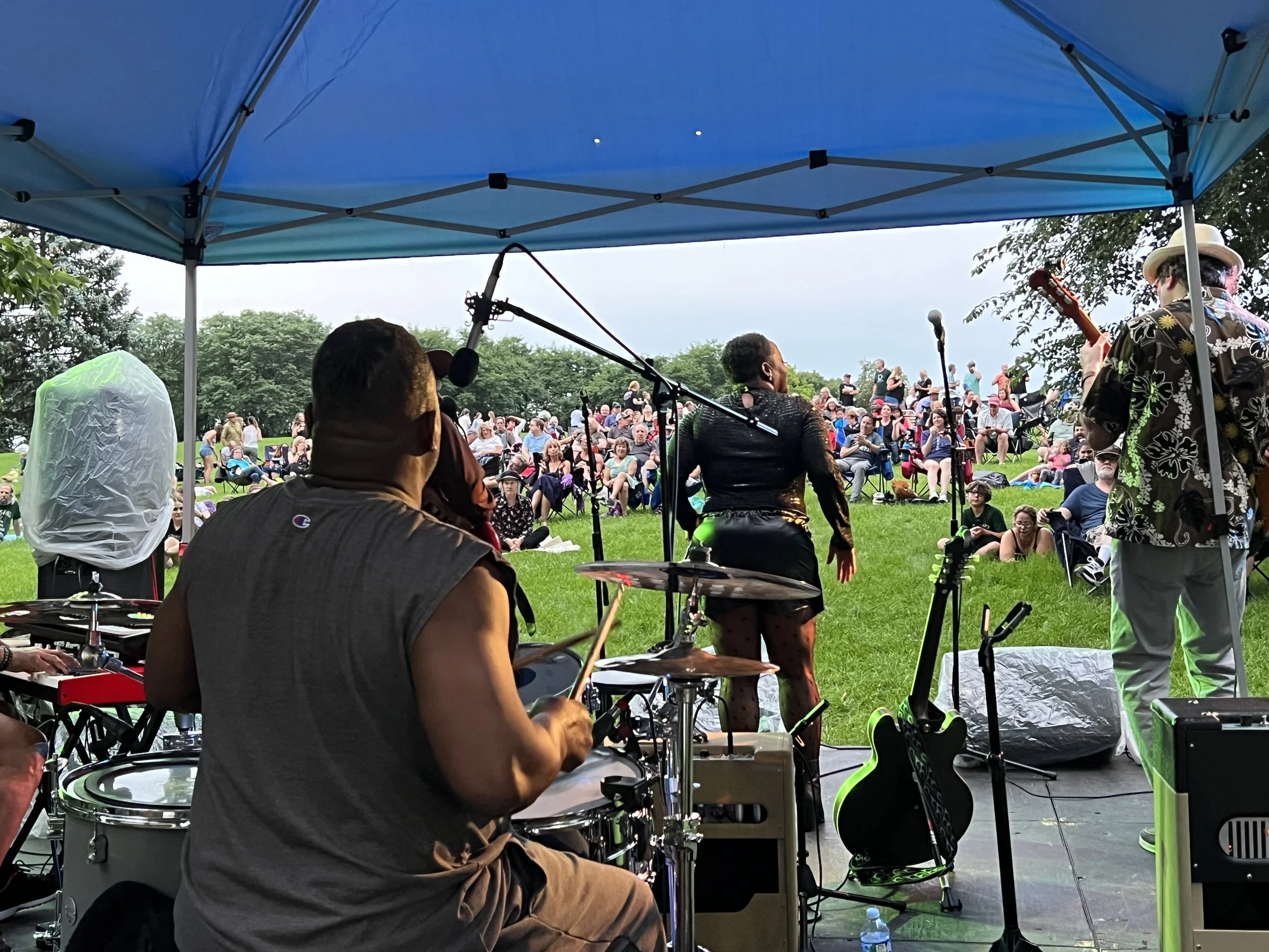 Park Concert Series — Horner Park Advisory Council