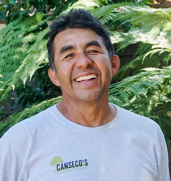 About — Canseco Landscape