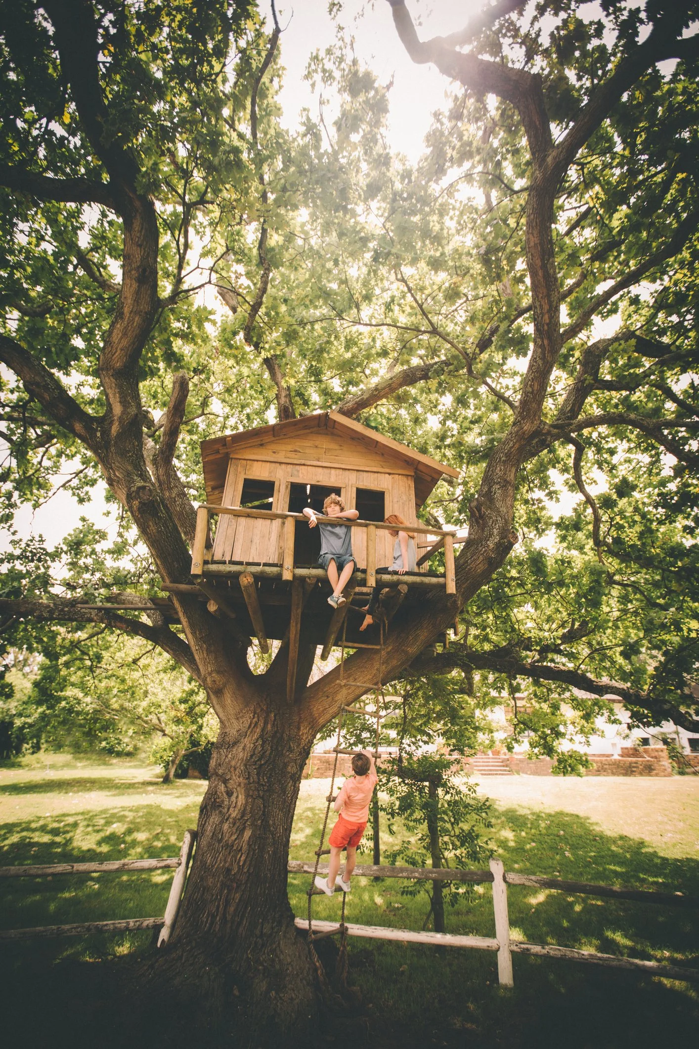 Treehouse Therapy Paediatric Occupational Therapy