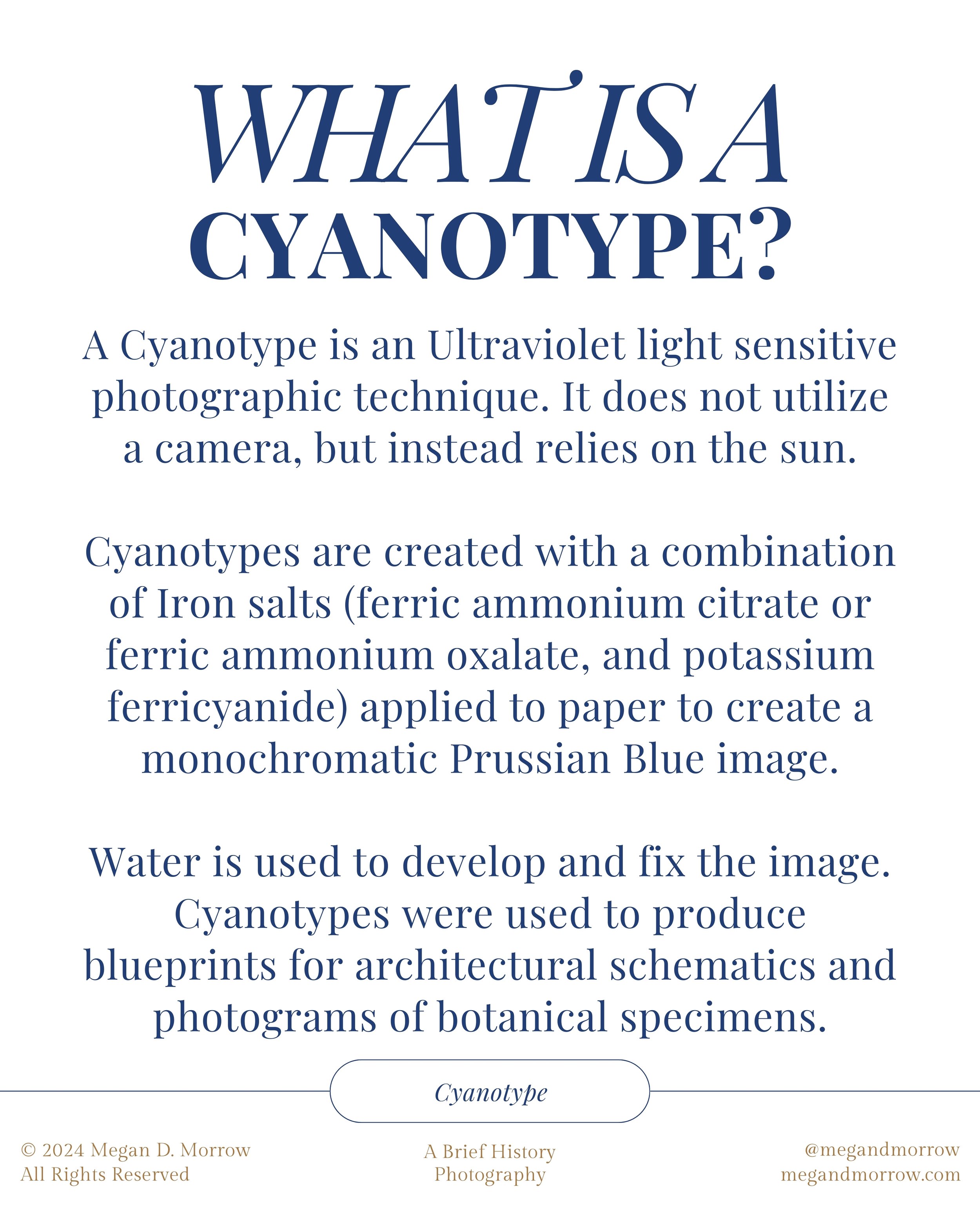What Is A Cyanotype?-A Brief History — Megan D. Morrow