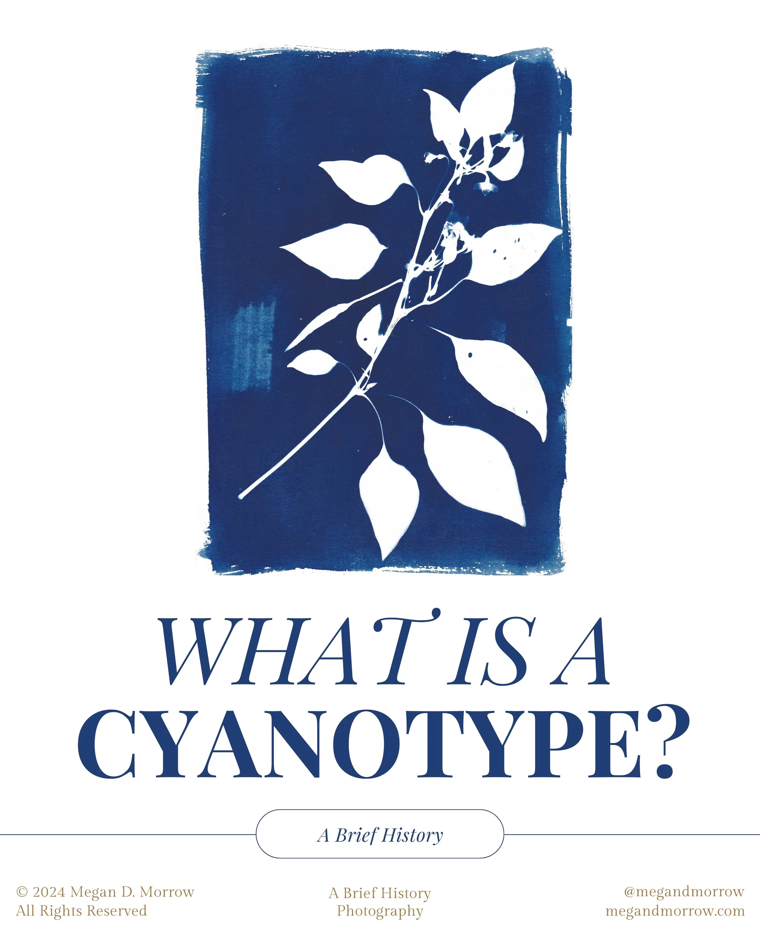 What Is A Cyanotype?-A Brief History — Megan D. Morrow