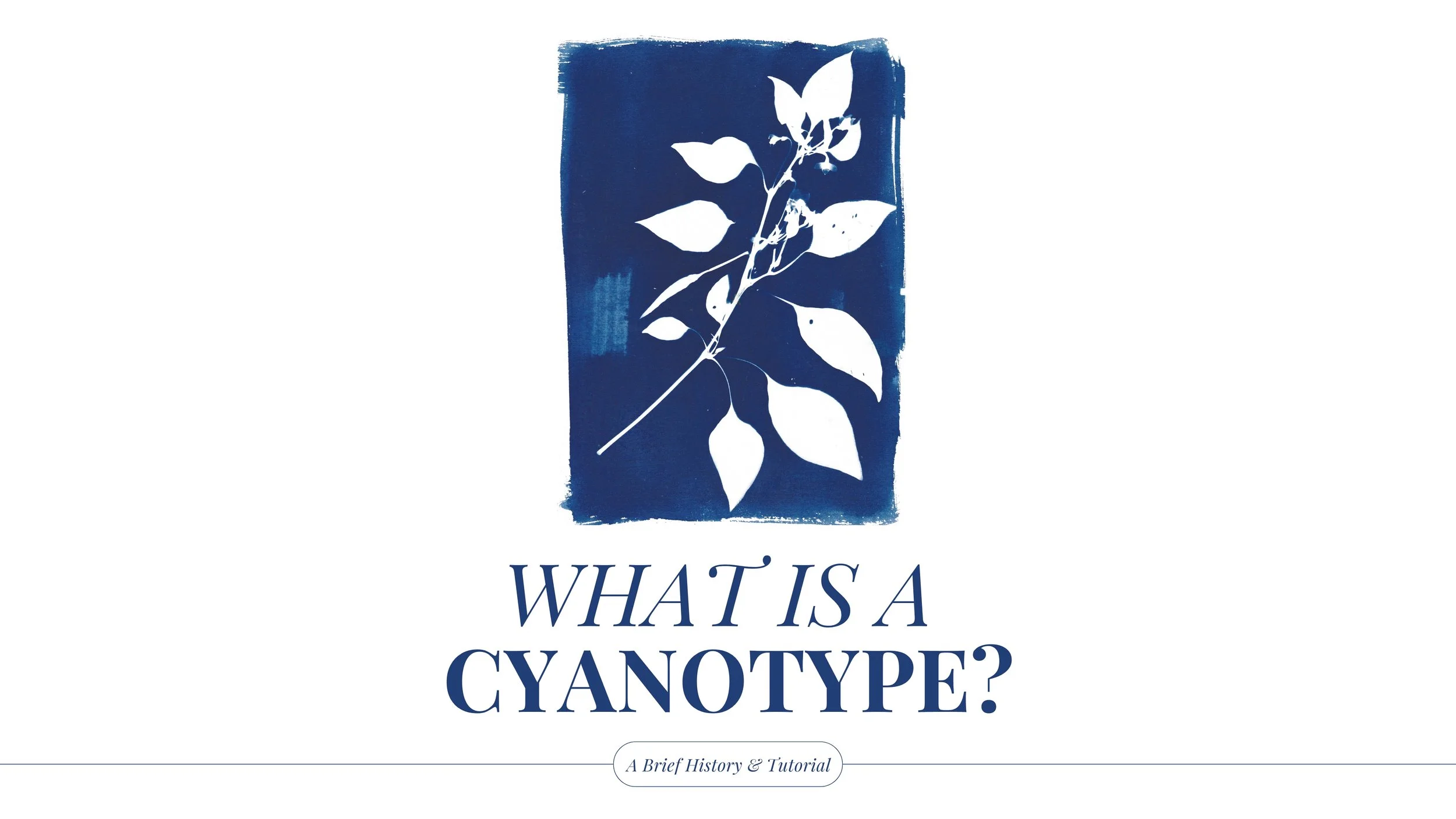 What Is A Cyanotype?-A Brief History — Megan D. Morrow