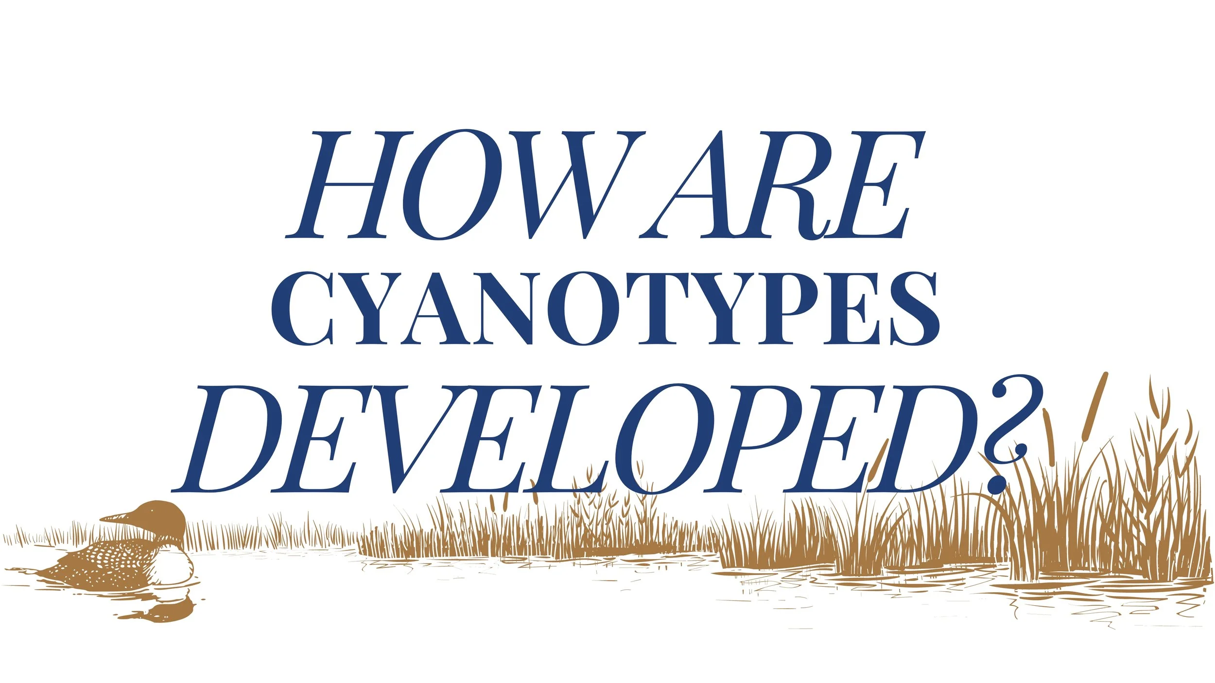 What Is A Cyanotype?-A Brief History — Megan D. Morrow