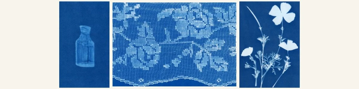 55 Everyday Objects To Transform Your Cyanotypes — Megan D. Morrow
