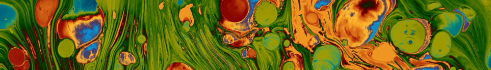 How to Borrow Free Tools: A Guide to the Library of Things — Megan D ...