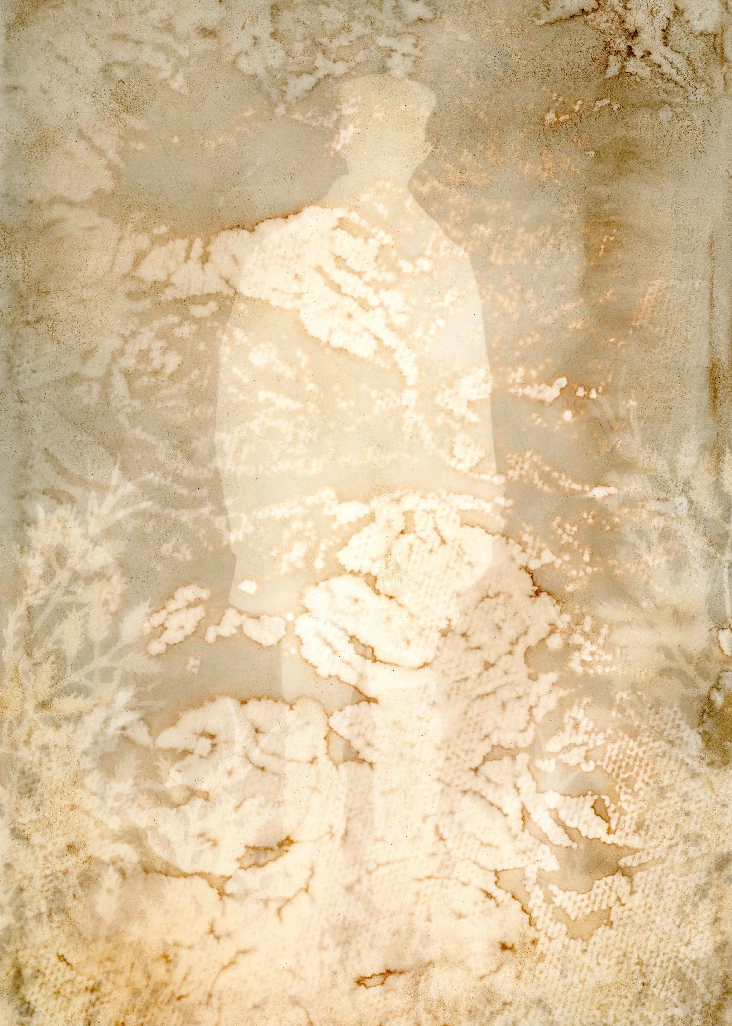 How To Make A Cyanotype Portrait Print — Megan D. Morrow