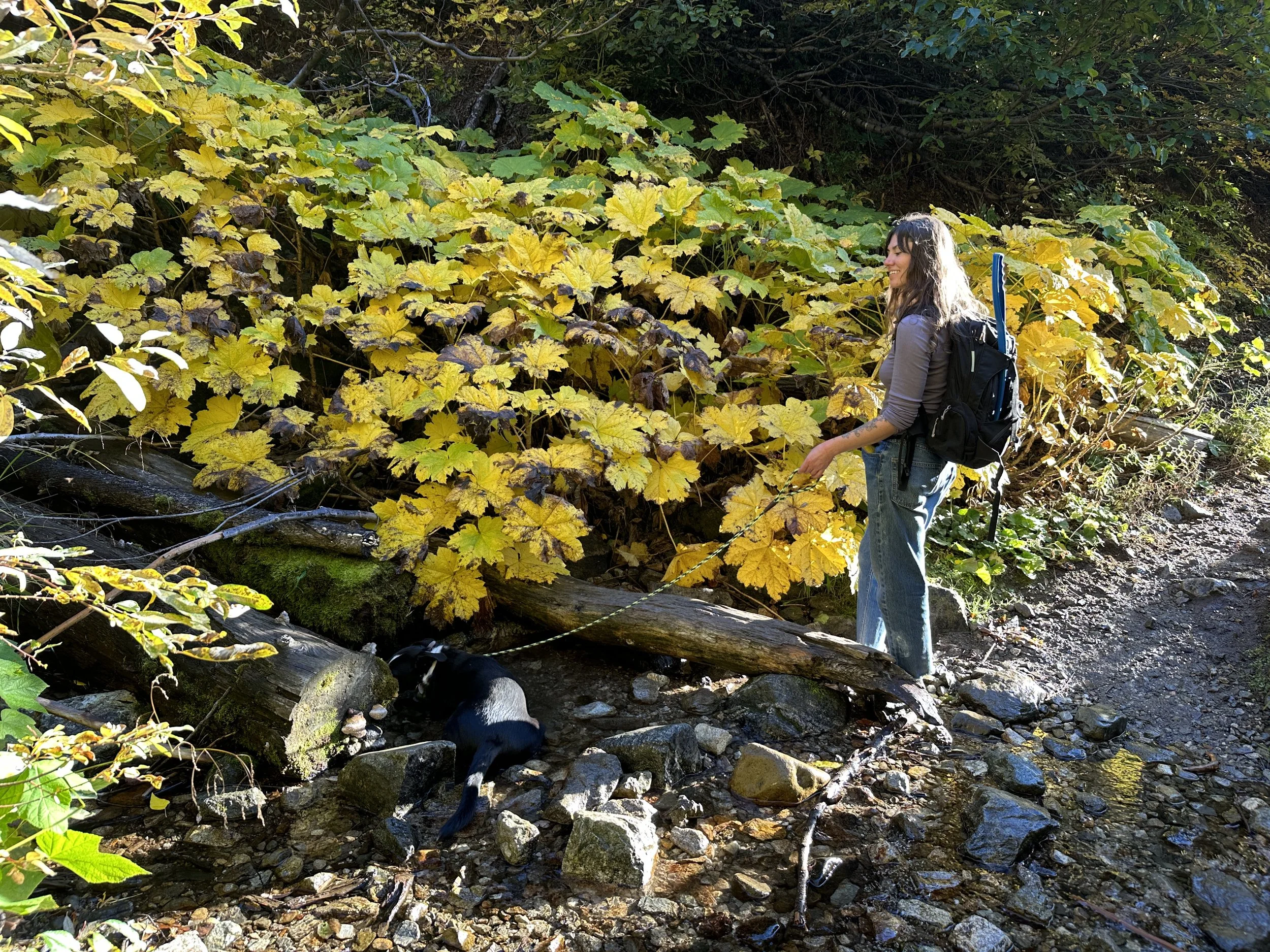 About Alex Mack, LCSW | Online Therapist for Anxiety, Trauma ...