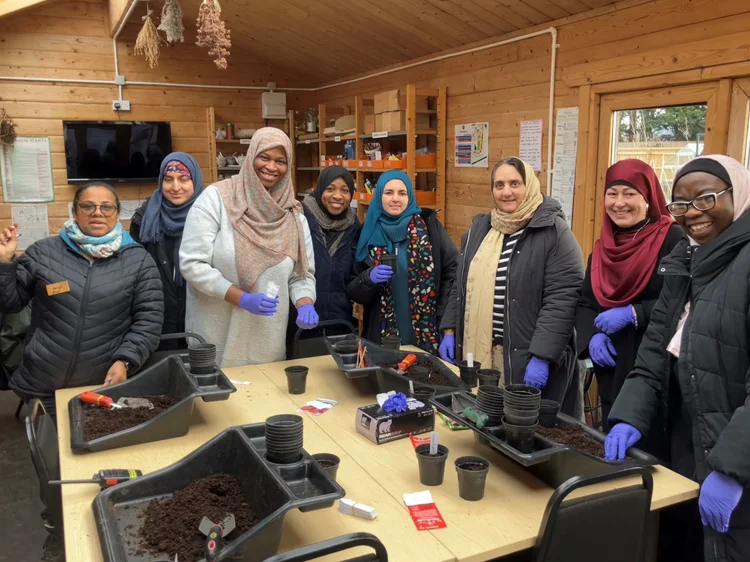 Wellbeing Programmes — Lindengate Charity