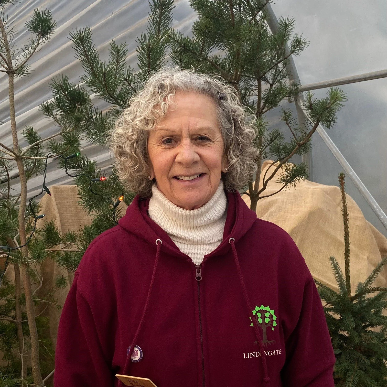 Our Trustees — Lindengate Charity