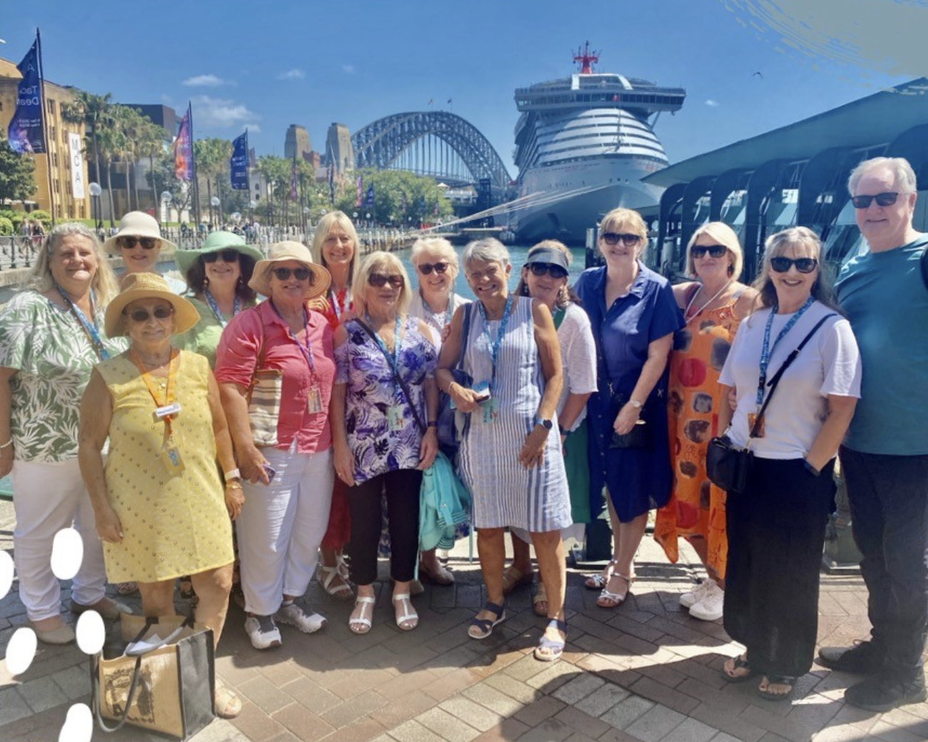 Chirpy Plus 50+ Community