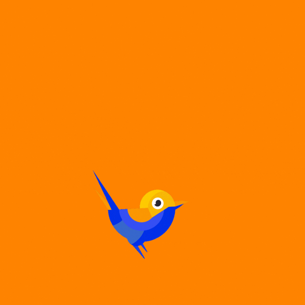 Chirpy Plus 50+ Community