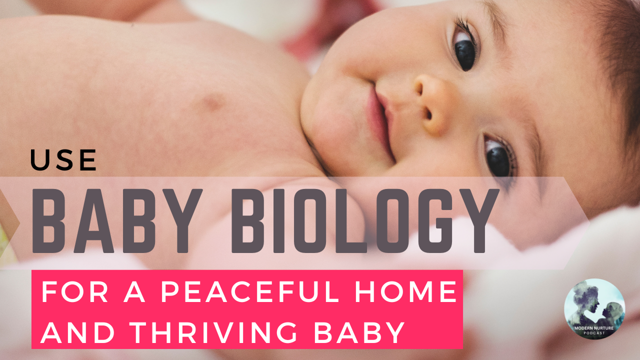 Blog 2 — Modern Nurture