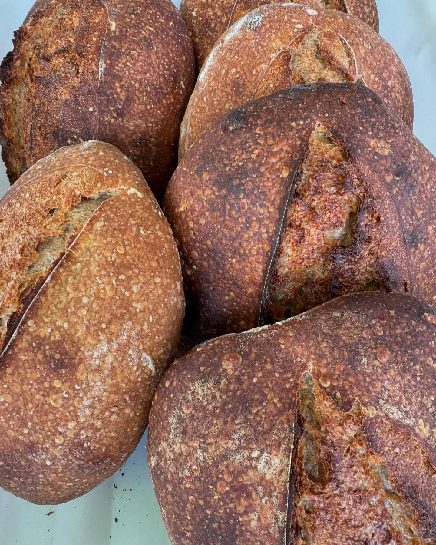 The Baker Next Door — Downtown Redwood City Cafe + Bakery