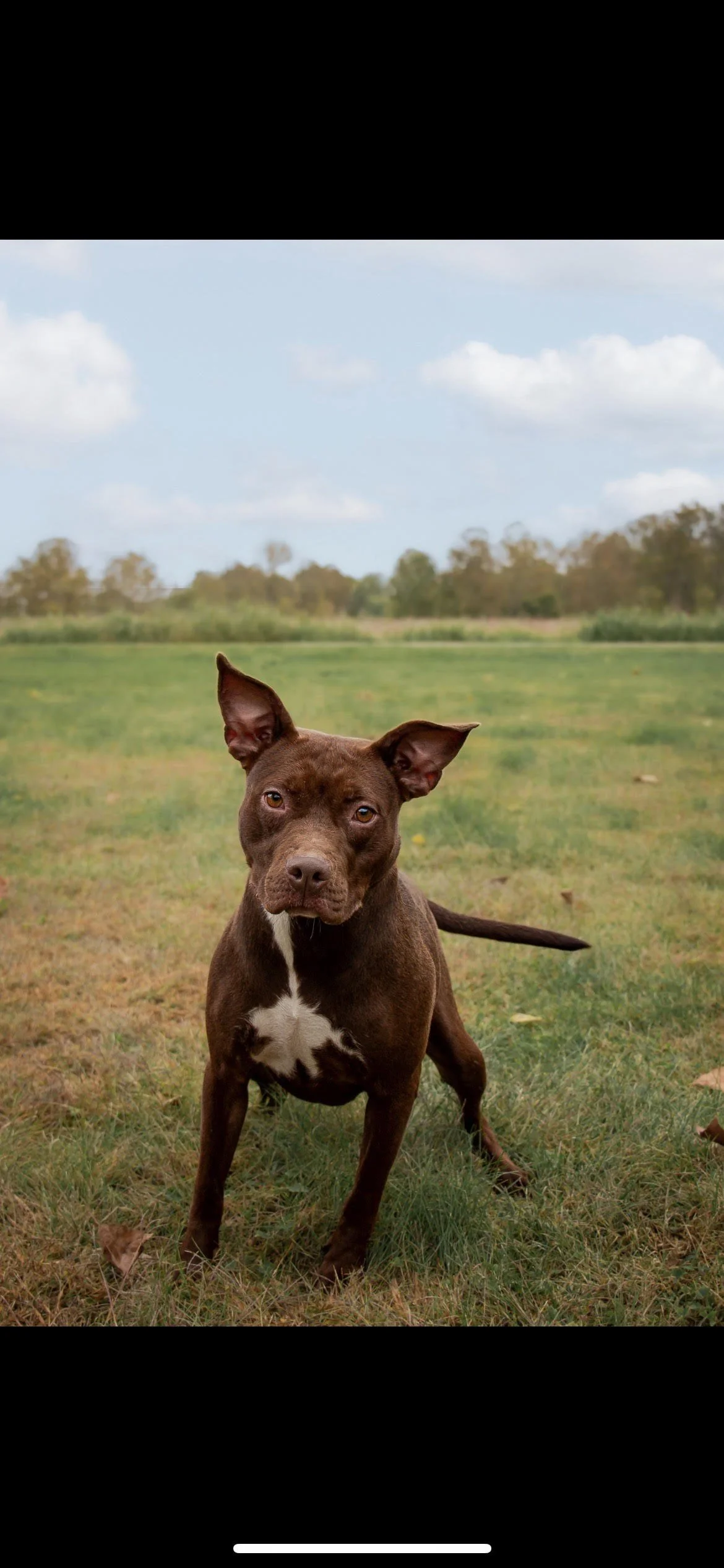 General 6 — Friends of Franklin County Indiana Animal Shelter
