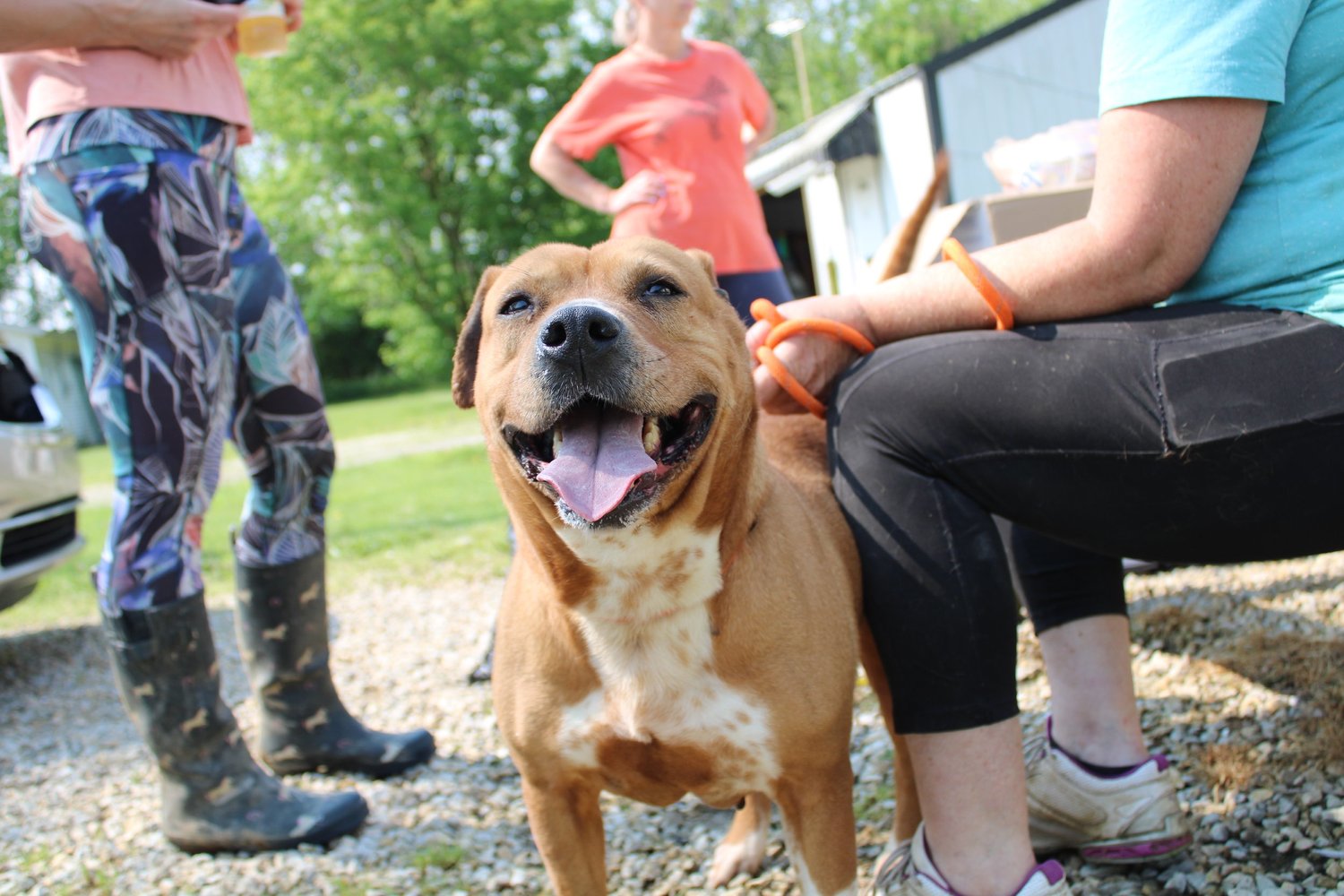 General 6 — Friends of Franklin County Indiana Animal Shelter