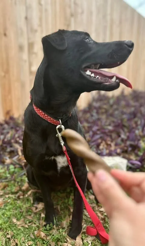 Baby Bear — Altruistic Rescue