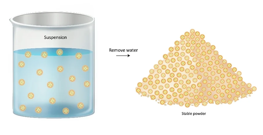 Encapsulation of Active Ingredients in Food, Beverage, and Beauty ...