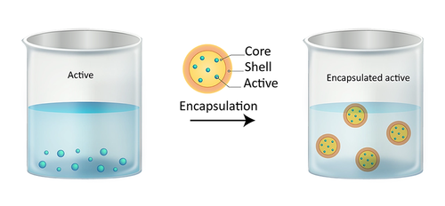 Encapsulation of Active Ingredients in Food, Beverage, and Beauty ...