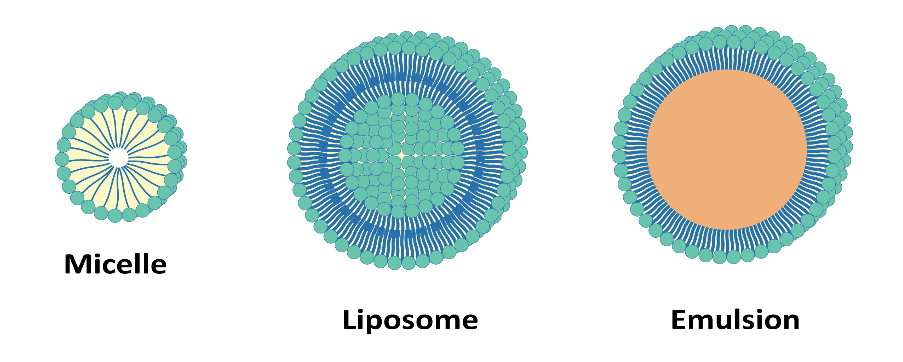 General Techniques for Preparing Formulations of Poorly Water-Soluble Compounds. — Spoke Sciences