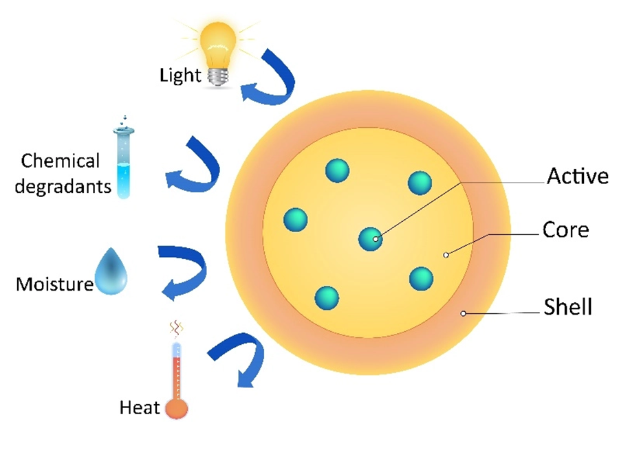 Encapsulation of Active Ingredients in Food, Beverage, and Beauty ...