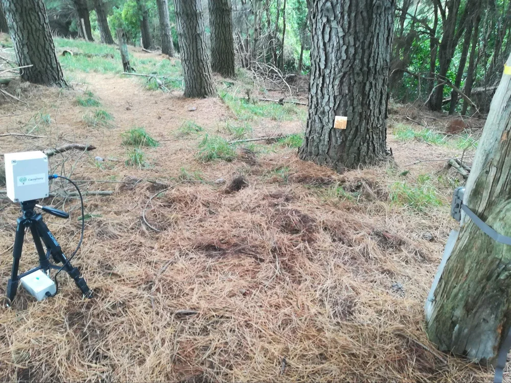 The Importance of Scent Trails — The Cacophony Project