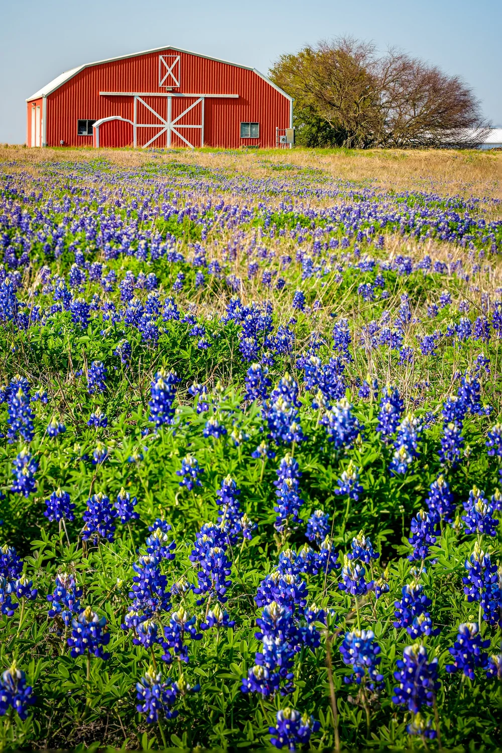 Texas Gallery — JASON KAUTZ PHOTOGRAPHY