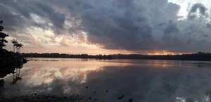Herald Island - Discover the Community of Herald Island - Auckland