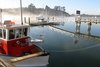 Herald Island - Discover the Community of Herald Island - Auckland