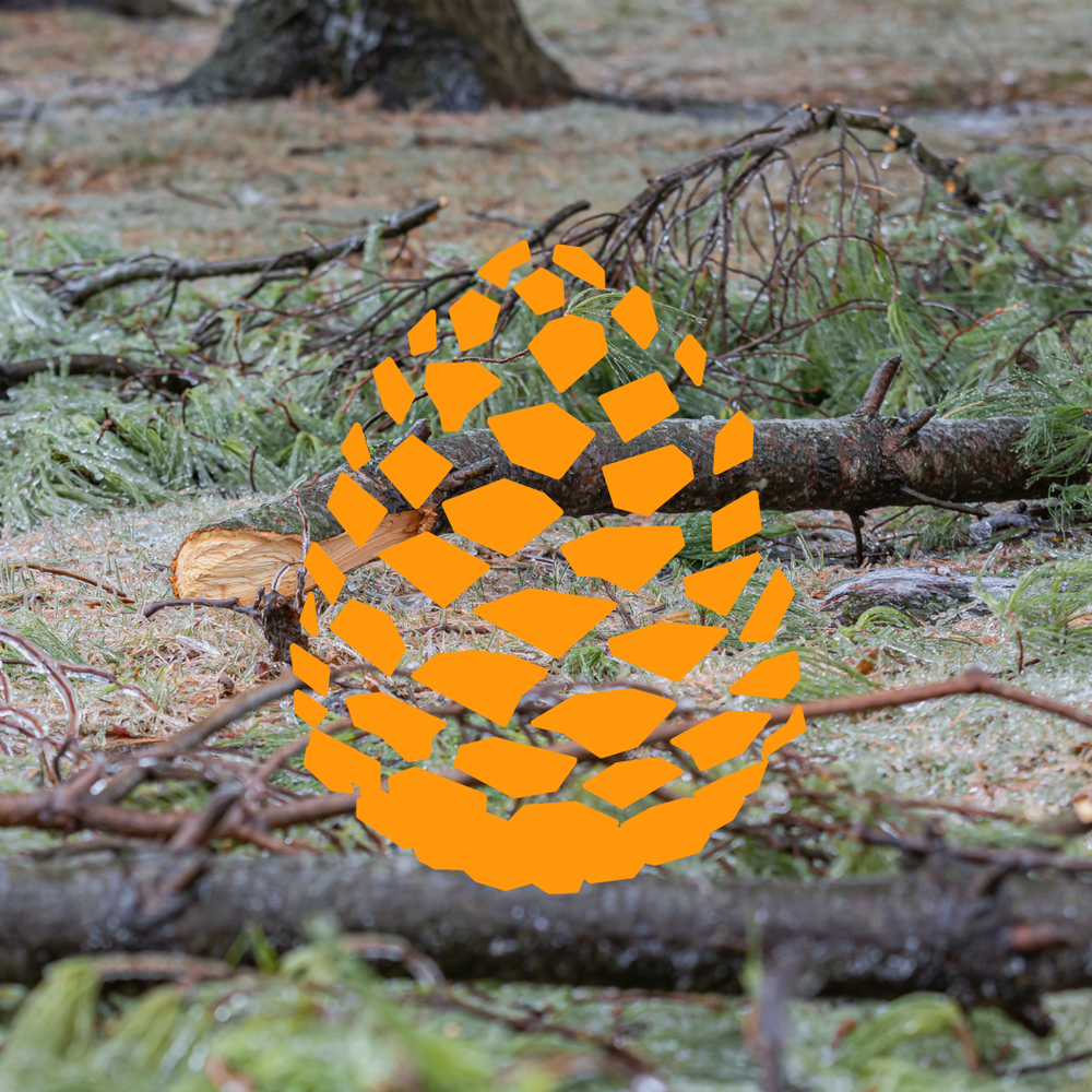 Sierra Crest Tree Service