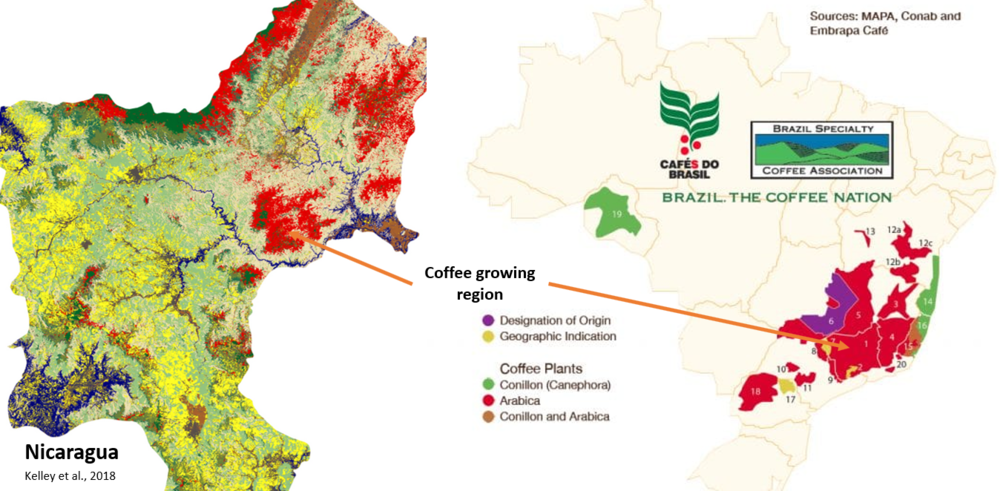 Satellite monitoring to support sustainable coffee production — Spacenus