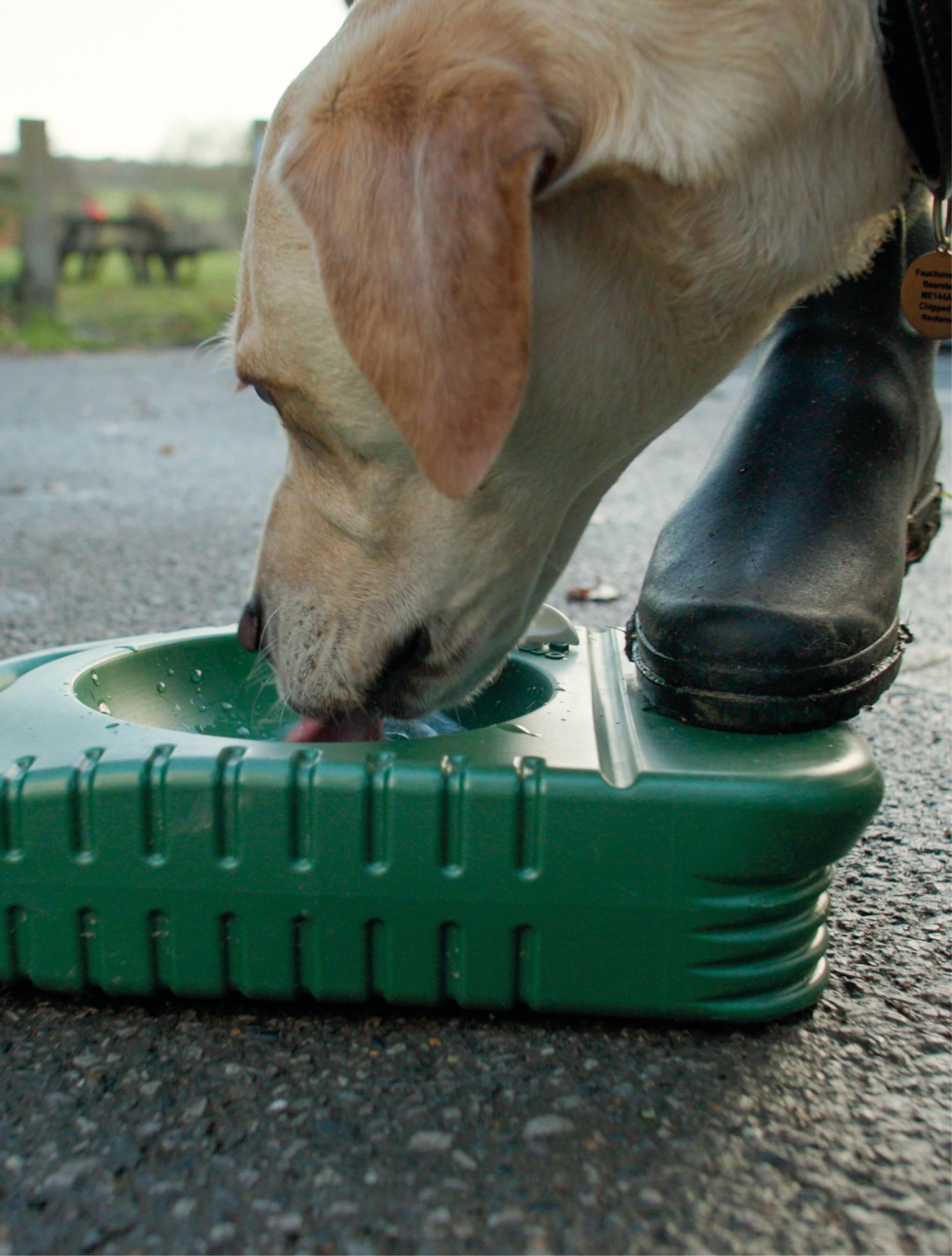 Porta-Bowl - The Ultimate Portable Water Bowl for Dogs