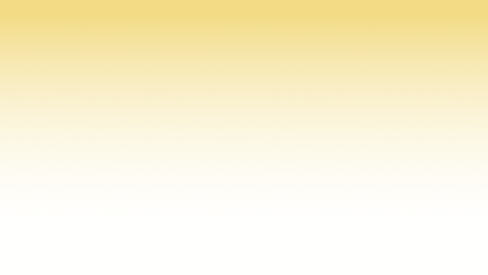 PROGRAMS — Dorado Cares