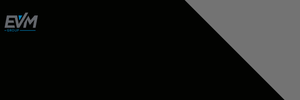 EVM Group