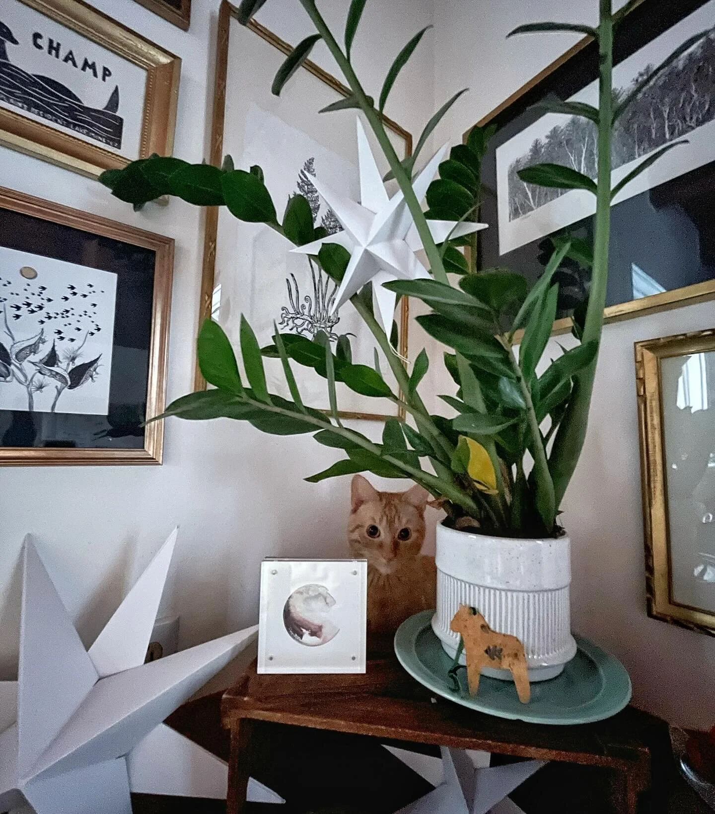 About Zarabeth — MTN GRL Studio