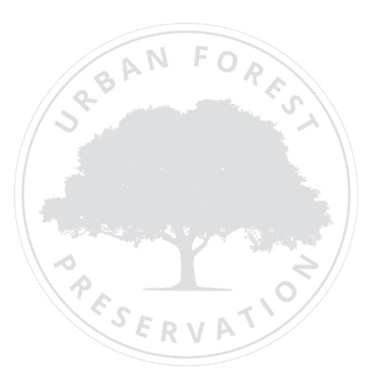 Tree Reporting and Arborist Letter — The Charleston Arborist