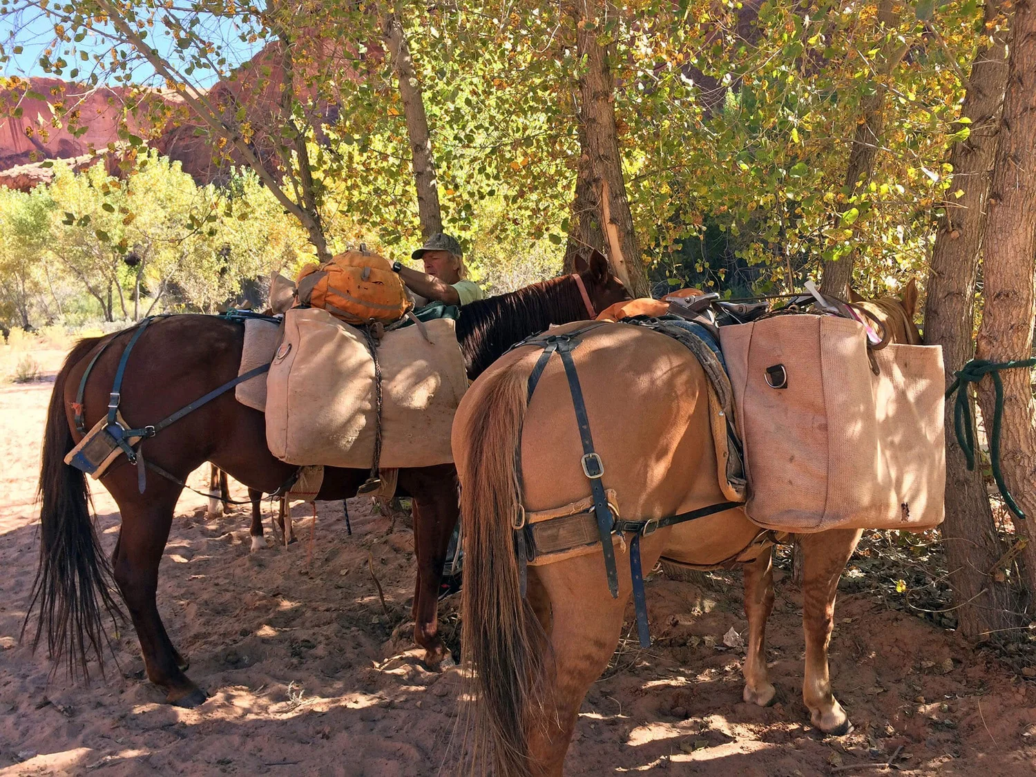 The Bedrock Homestead, Utah