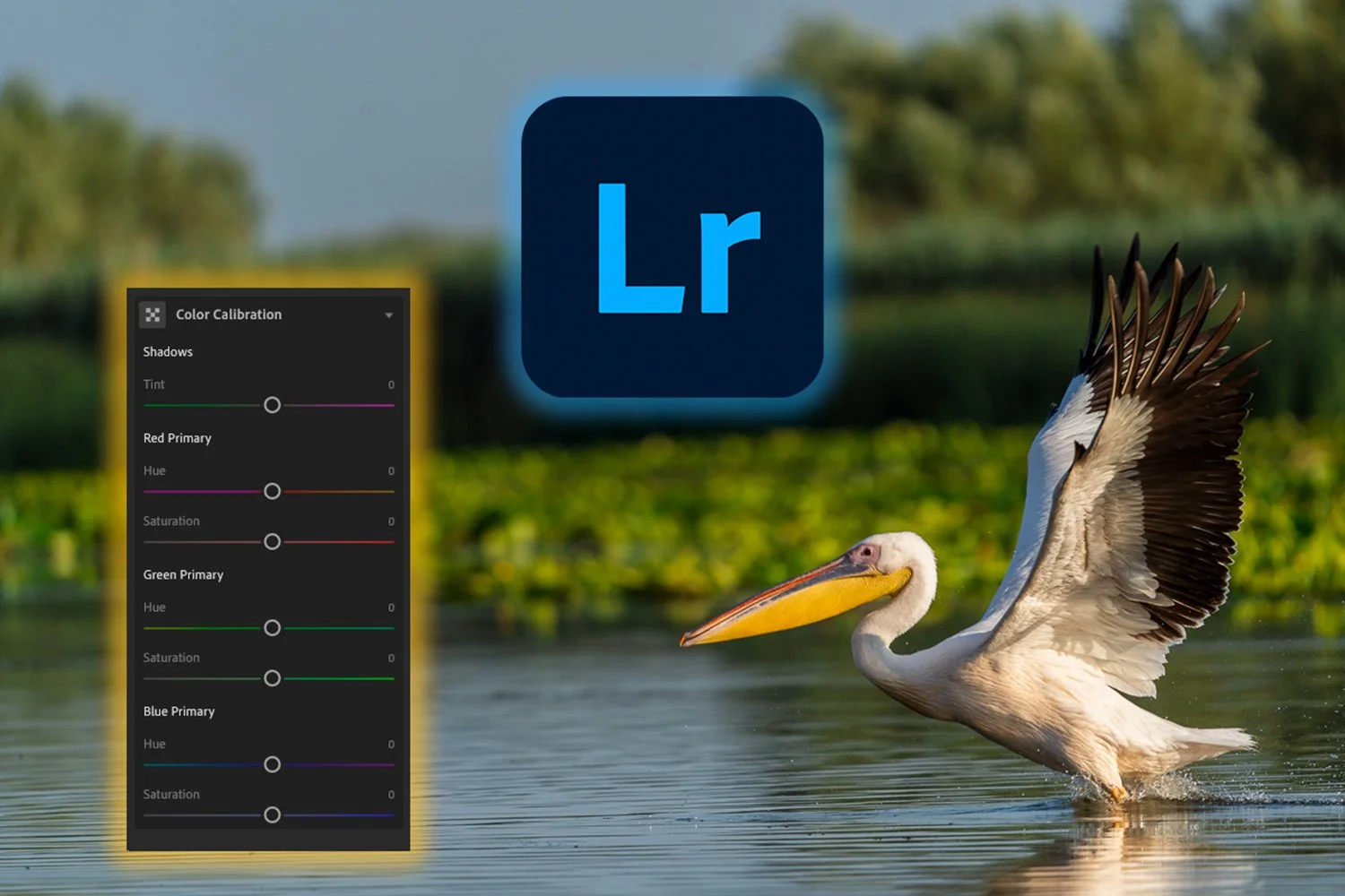 Color Calibration in Lightroom CC: Step-by-Step Tutorial — Gabriel ...