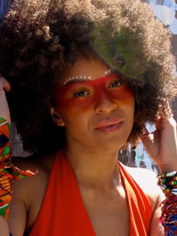 Board Members — ShirleyChisholmCulturalInstitue